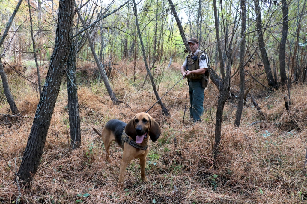Hall County Sheriff's Office | Special Teams Department | Learn More