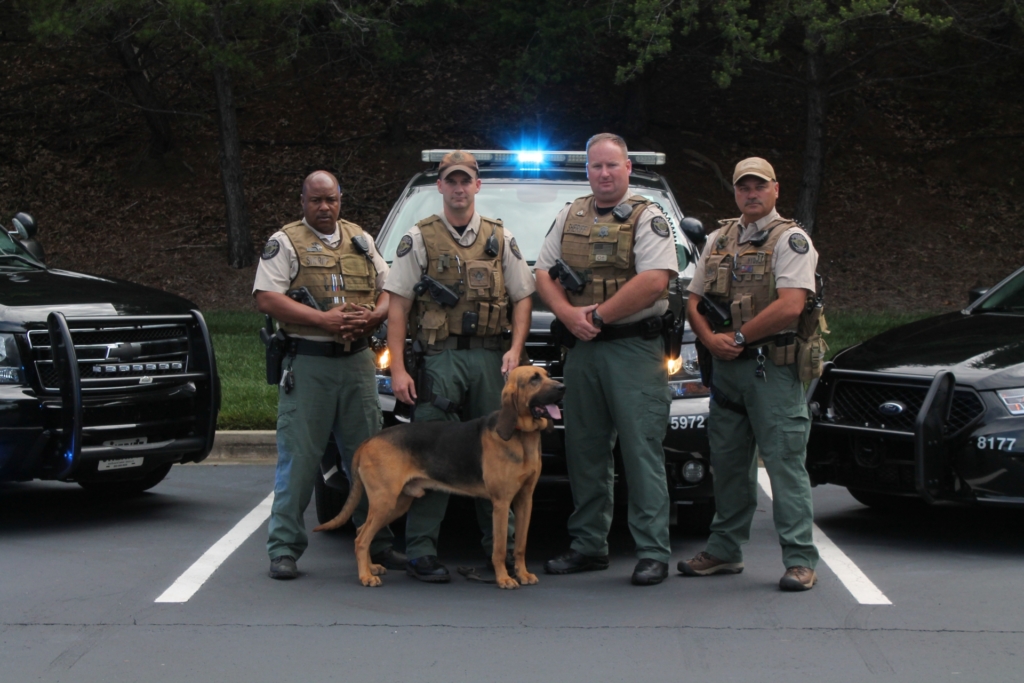 Hall County Sheriff's Office | Join our Team to Serve our Community